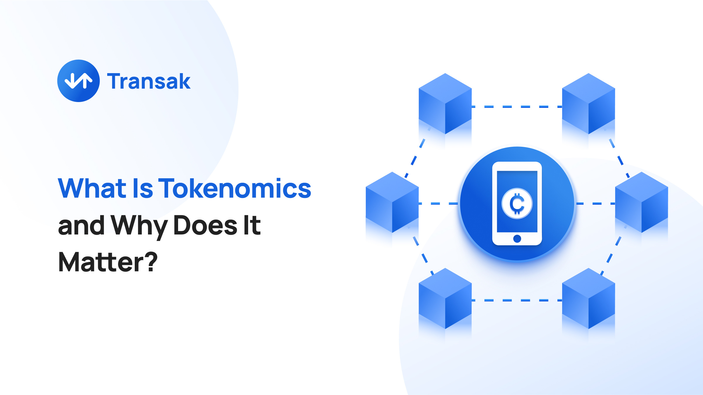 What Is Tokenomics and Why Does It Matter? | Transak